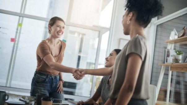 Resource Library - Careering into Motherhood